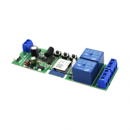 Tuya 2 Channel WiFi + RF Switch (5V - 32V)